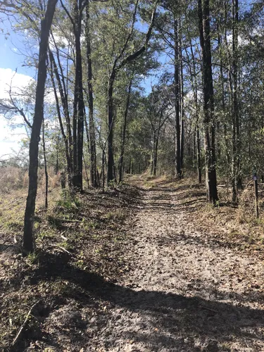 Best Hikes and Trails in River Rise Preserve State Park | AllTrails