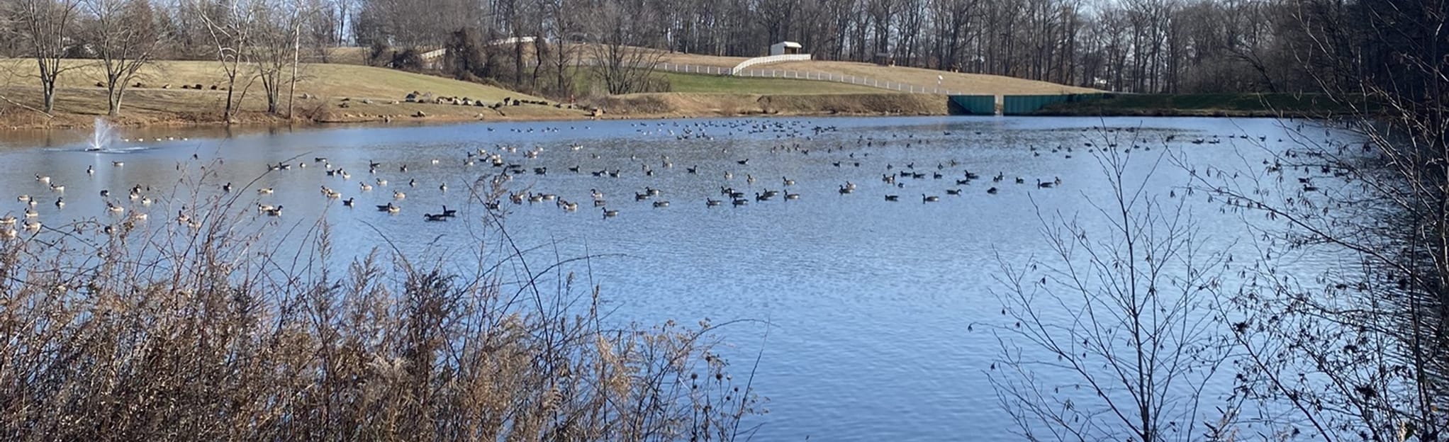 Lake and Field Loop: 147 Reviews, Map - Delaware | AllTrails