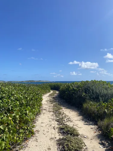 Best Hikes and Trails in Anguilla | AllTrails