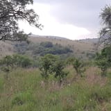 B'sorah Trail, North West, South Africa - 170 Reviews, Map | AllTrails