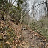 Bad Branch Trail [CLOSED], Kentucky - 188 Reviews, Map | AllTrails