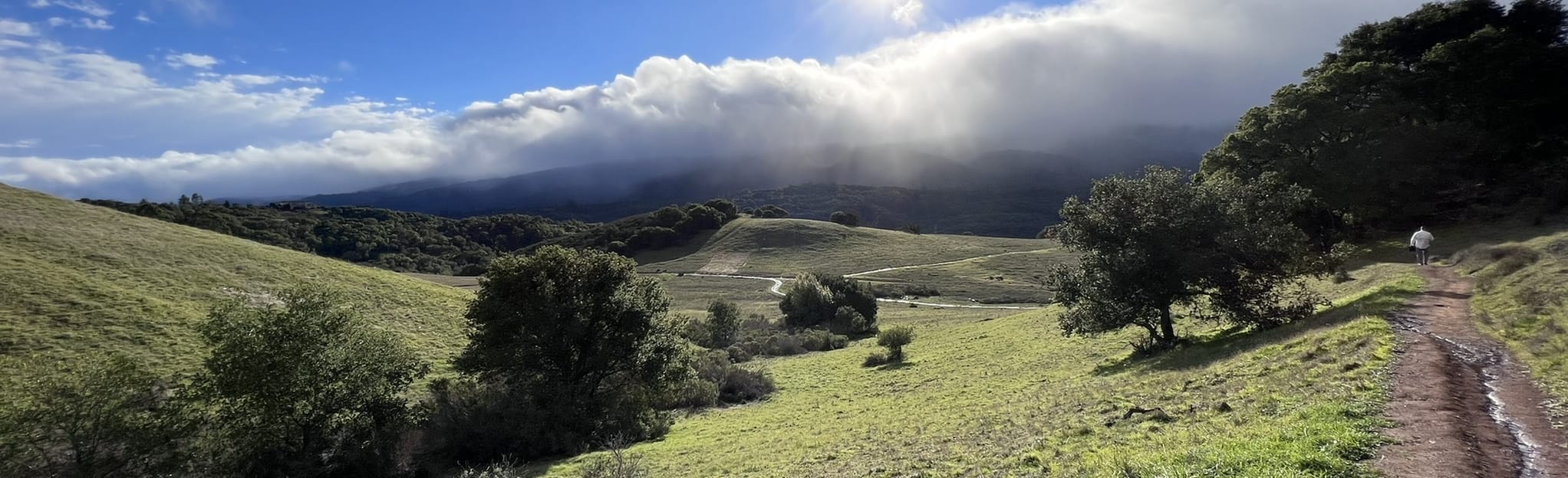 Ridgeview and Serpentine Loop: 190 Reviews, Map - California | AllTrails