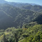 Jorullo Suspension Bridge, Jalisco, Mexico - 5 Reviews, Map | AllTrails