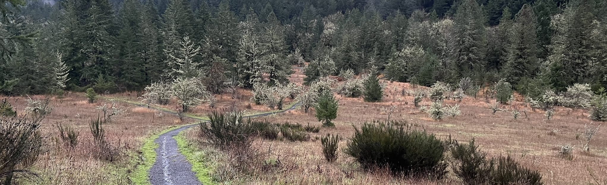 Lower Horse Trail 610 Loop: 10 Reviews, Map - Oregon | AllTrails