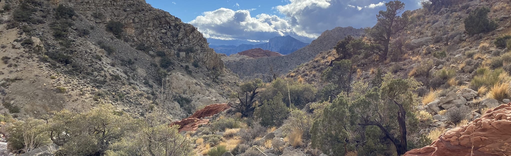 Twin Tanks Peak Loop: 4 Reviews, Map - Nevada | AllTrails