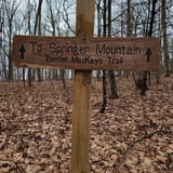 Springer Mountain and Ball Mountain via Appalachian Trail, Georgia ...