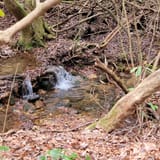 Springer Mountain and Ball Mountain via Appalachian Trail, Georgia ...