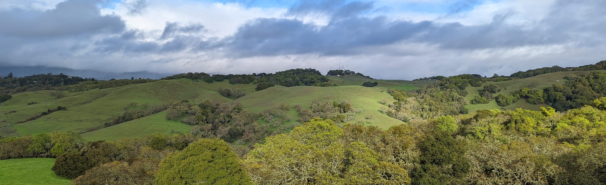 Taylor Mountain via Western Route: 795 Reviews, Map - California ...