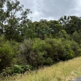 Cardinia Aqueduct Trail, Victoria, Australia - 223 Reviews, Map | AllTrails