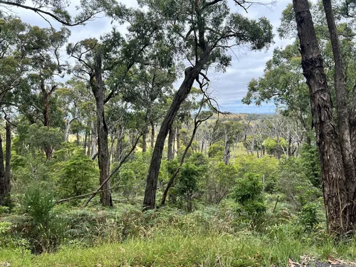 Best Hikes and Trails in Pakenham | AllTrails