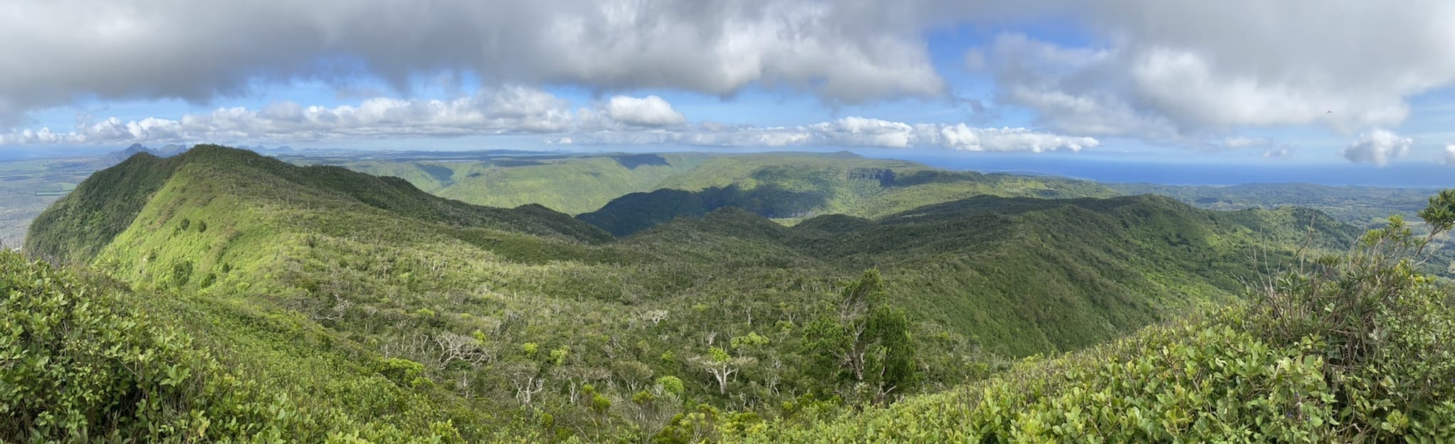 Piton Mauritius Trail: 55 foto - Savanne, Mauritius | AllTrails