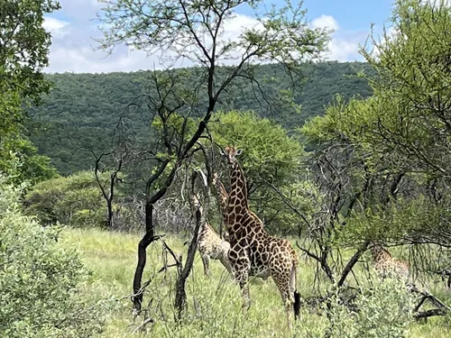 Best Hikes and Trails in Mookgopong Munic NU | AllTrails