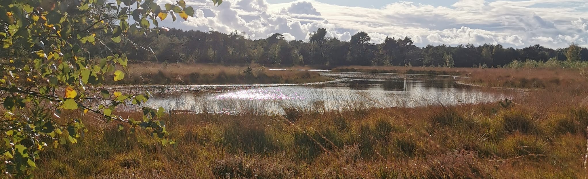 GR®5: Essen - Kalmthout Segment 2.2: 4 Reviews, Map - North Brabant ...