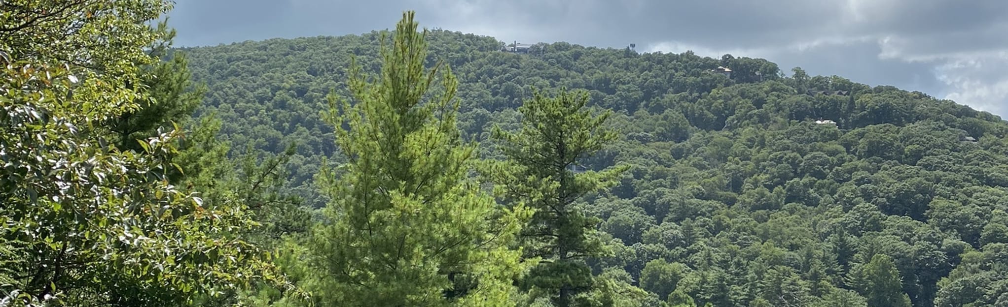 Sunset Rock Trail: 591 Reviews, Map - North Carolina | AllTrails