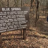 Blue Spring Trail, Missouri - 194 Reviews, Map | AllTrails
