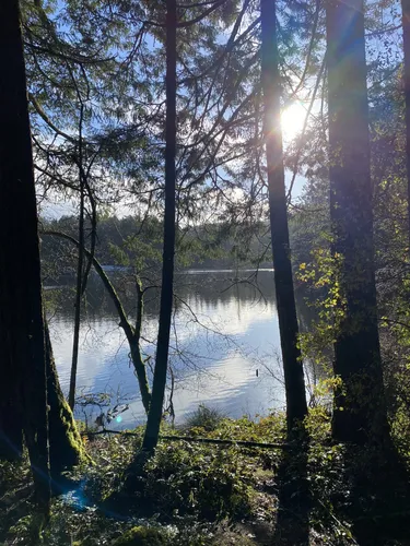 Best Easy Trails in Thetis Lake Regional Park | AllTrails