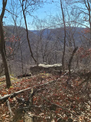 Best Mountain Biking Trails in Kanawha State Forest | AllTrails