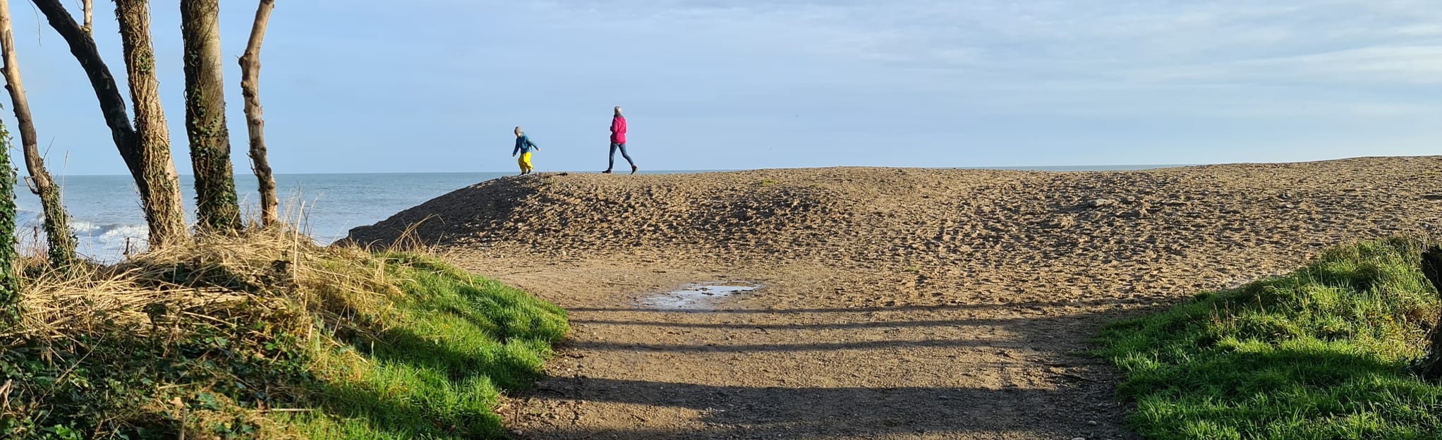 Courtown Woods - Short Loop: 26 Reviews, Map - County Wexford, Ireland ...