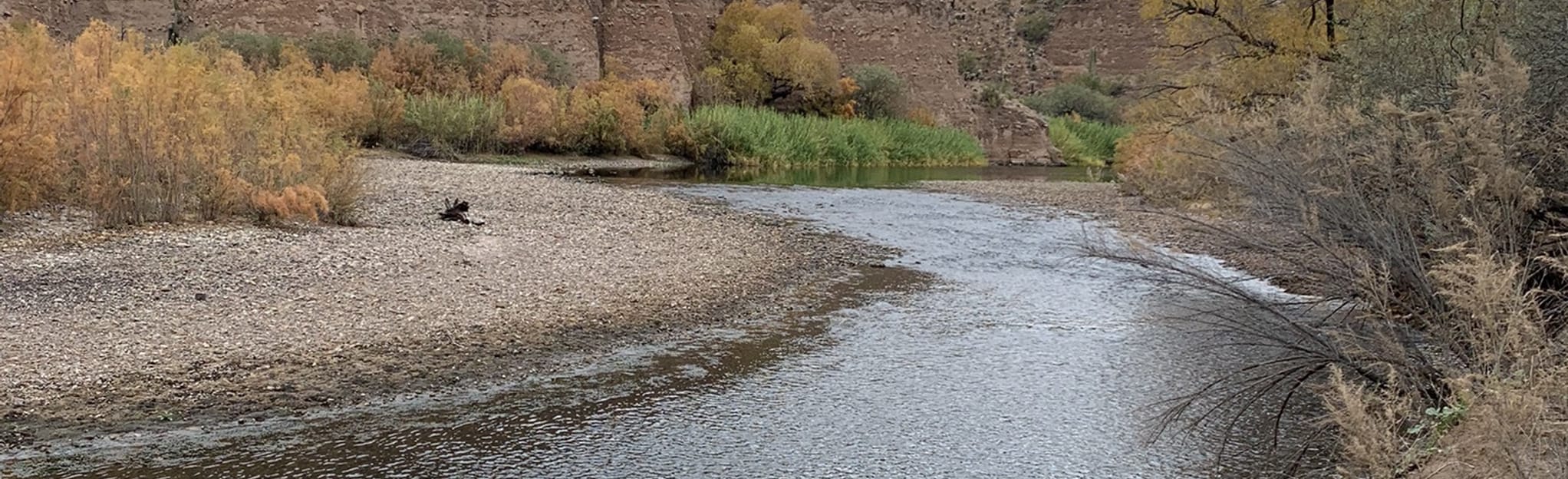 Salt River from Usery Pass Road, Arizona - 332 Reviews, Map | AllTrails