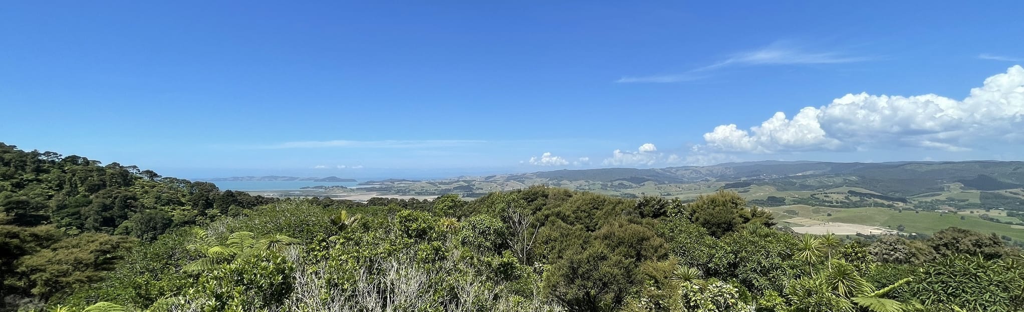 Clevedon Scenic Reserve Track and Thorps Quarry - Auckland, New Zealand ...