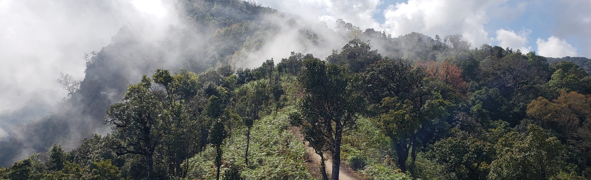 Doi Pha Ngam Loop: 120 foto's - Changwat Chiang Mai, Thailand ...