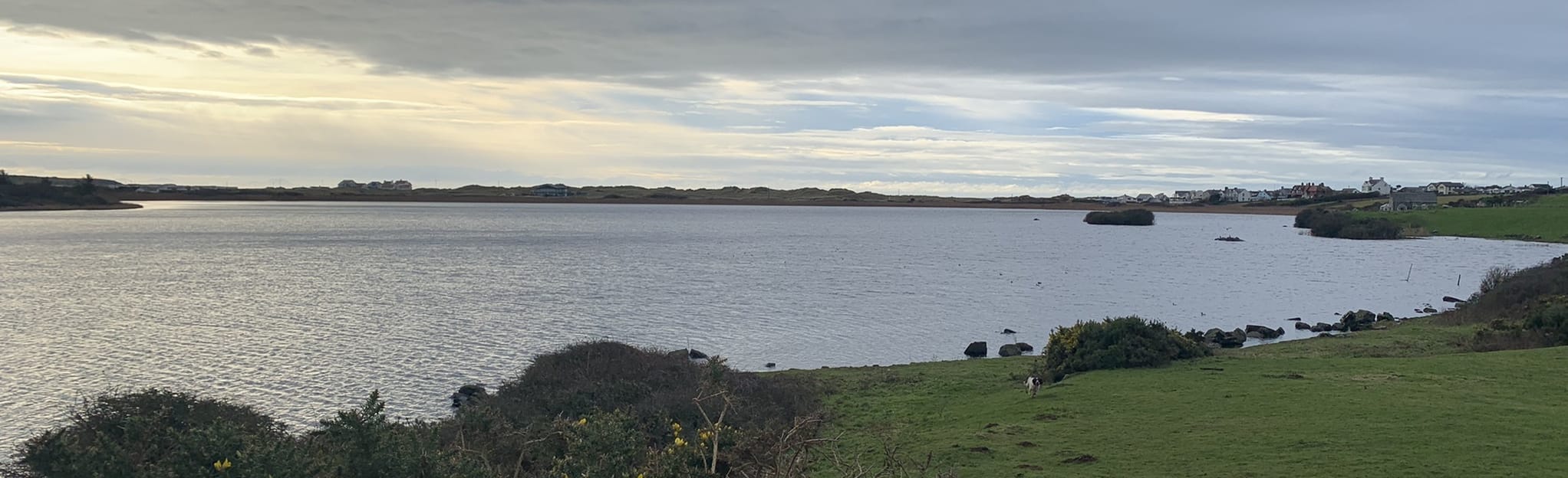 Rhosneigr Circular Walk: 55 Fotos - Anglesey, Wales | AllTrails