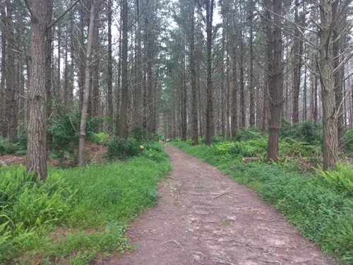 10 Best Trails and Hikes in George | AllTrails