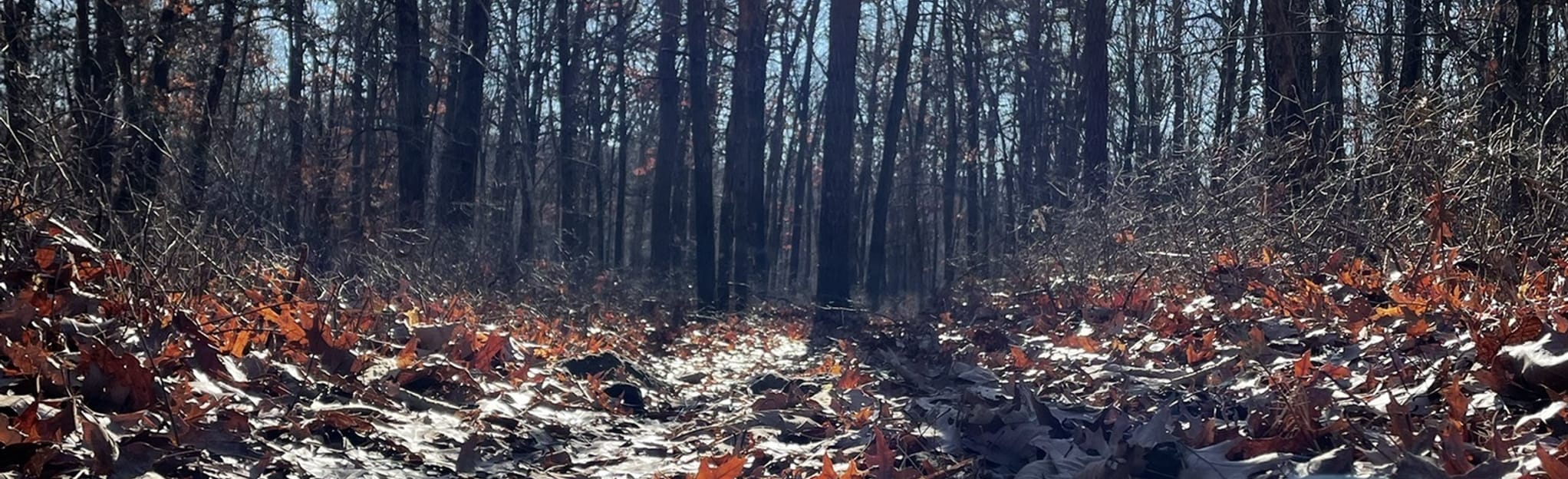 Rattling Creek Trail, Pennsylvania - 13 Reviews, Map | AllTrails