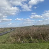 Sheldon Lake State Park Nature Loop, Texas - 187 Reviews, Map | AllTrails