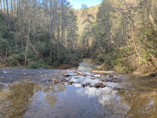 2023 Best 10 Short Trails in Sumter National Forest | AllTrails