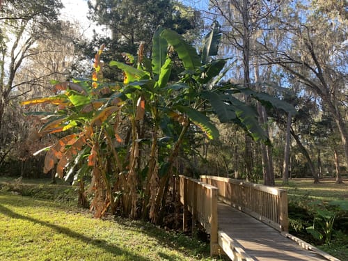 Best Hikes and Trails in Lake Alice Conservation Area | AllTrails