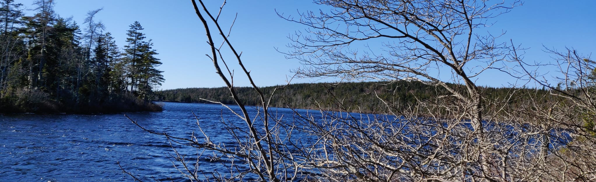 Head of Chezzetcook Trail: 8 Reviews, Map - Nova Scotia, Canada | AllTrails