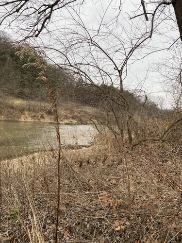 Best River Trails in Baldwin | AllTrails