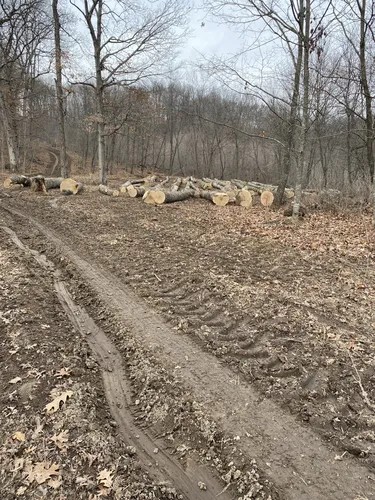 Best River Trails in Baldwin | AllTrails