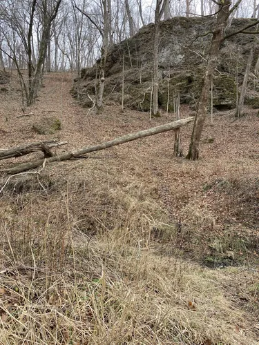 Best River Trails in Baldwin | AllTrails