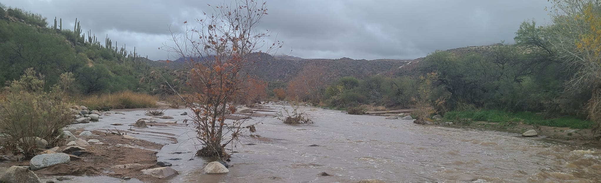 Round Valley Loop via Pine Creek, El Oso Rodeo, and Mud Springs OHV ...