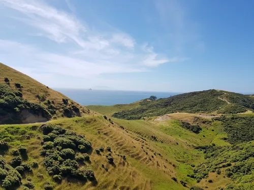 10 Best Trails and Hikes in Coromandel | AllTrails