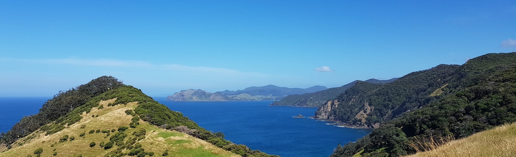 Coromandel Walkway and Mountain Bike Track: 92 Reviews, Map - Waikato ...