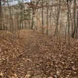 QuiVaLa Elise Falls Trail, Arkansas - 184 Reviews, Map | AllTrails