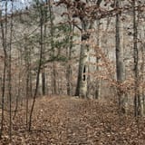 QuiVaLa Elise Falls Trail, Arkansas - 184 Reviews, Map | AllTrails