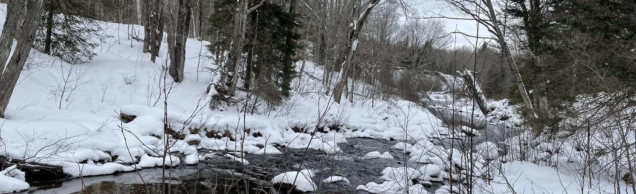 Pilgrim River Trail, Michigan - 44 Reviews, Map | AllTrails