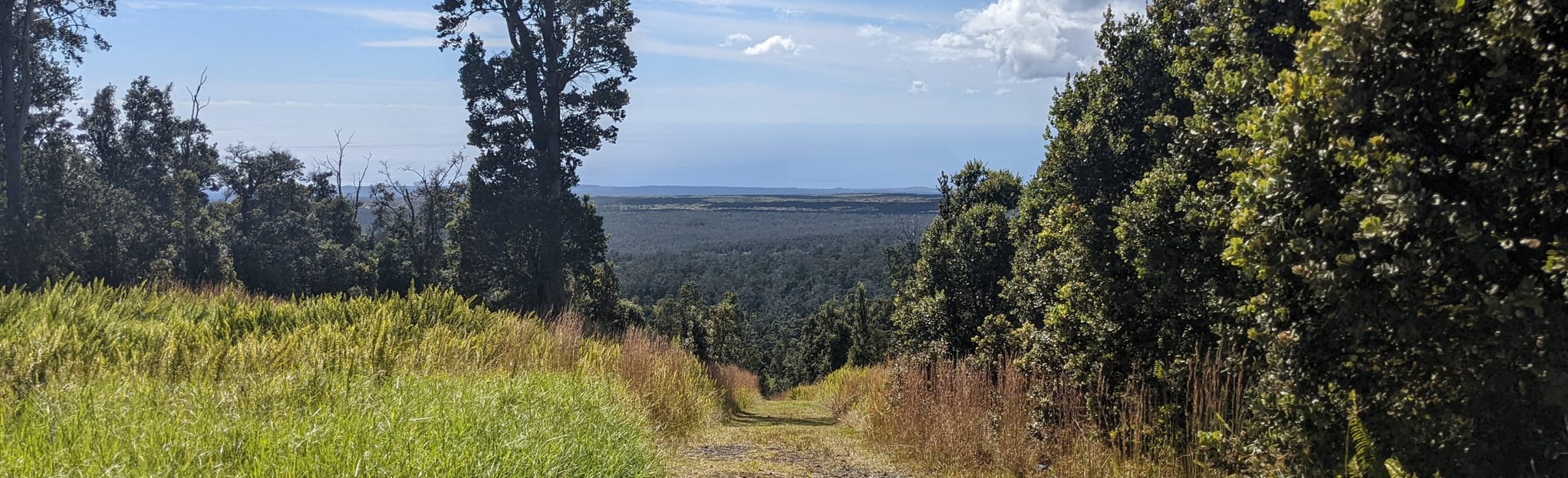 Pit Crater: 69 Reviews, Map - Hawaii, Hawaii | AllTrails