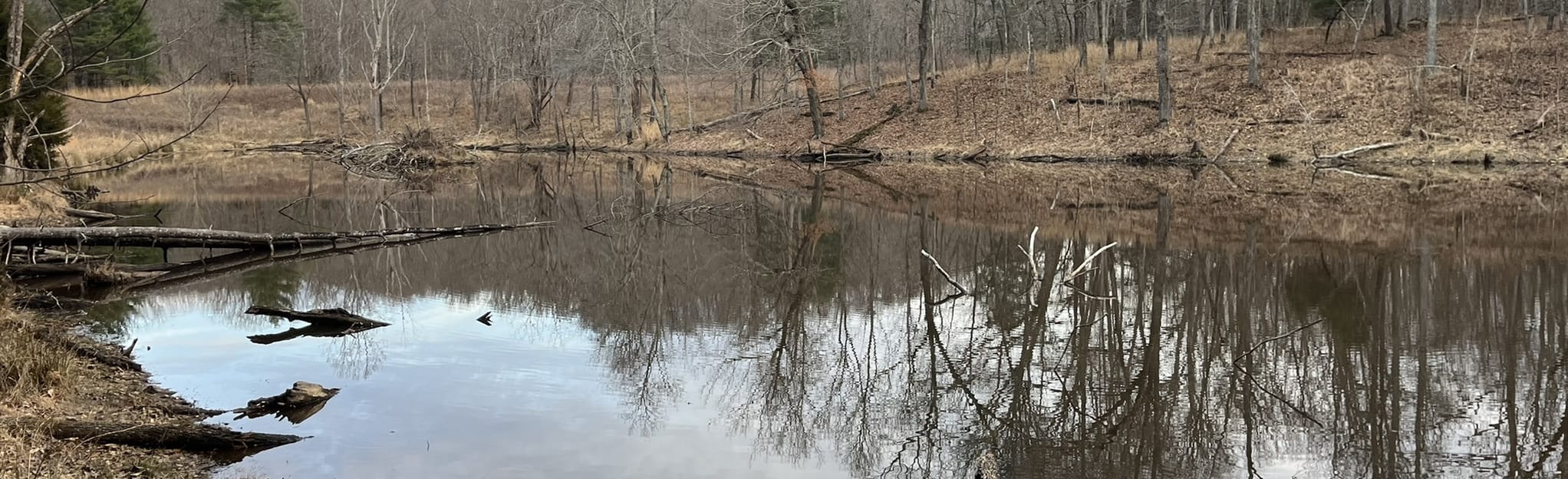 Central Kentucky Wildlife Refuge Yellow Trail, Deer Trail Loop, 116 ...