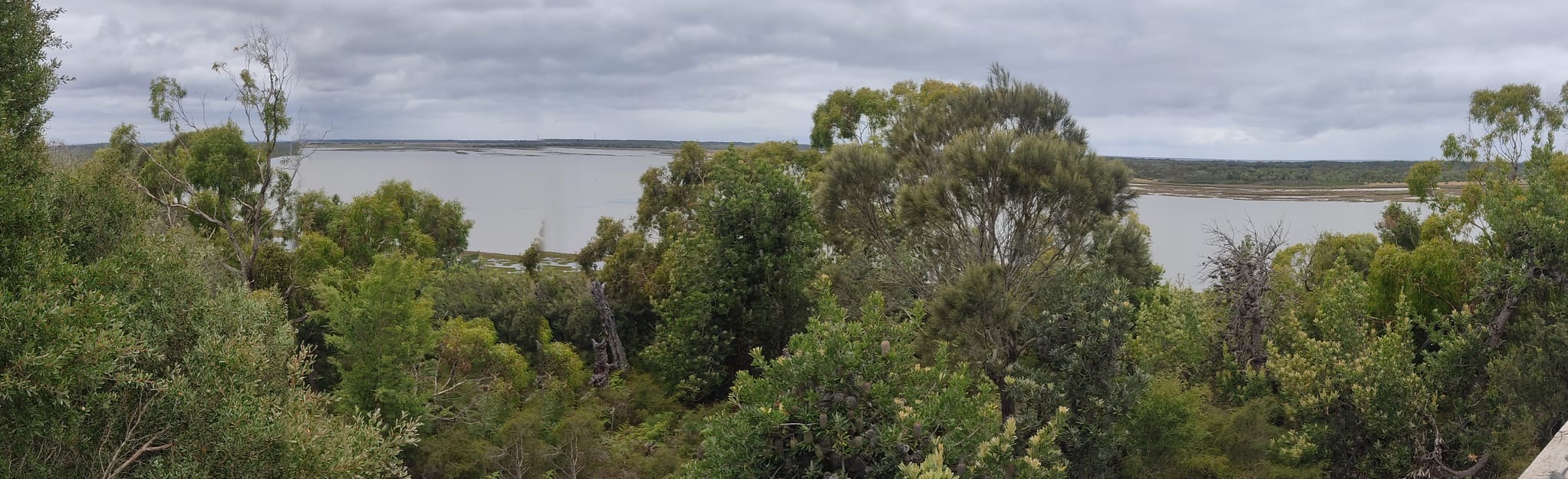Lake Reeve Nature Trail, 1 Photos - Victoria, Australie | AllTrails
