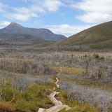 Lake Judd Trail, Tasmania, Australia - 38 Reviews, Map | AllTrails