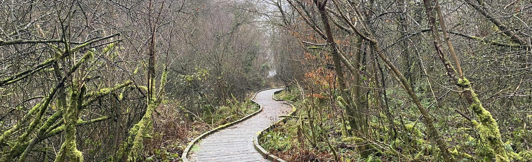 Forge Valley Woods, North Yorkshire, England - 83 Reviews, Map | AllTrails