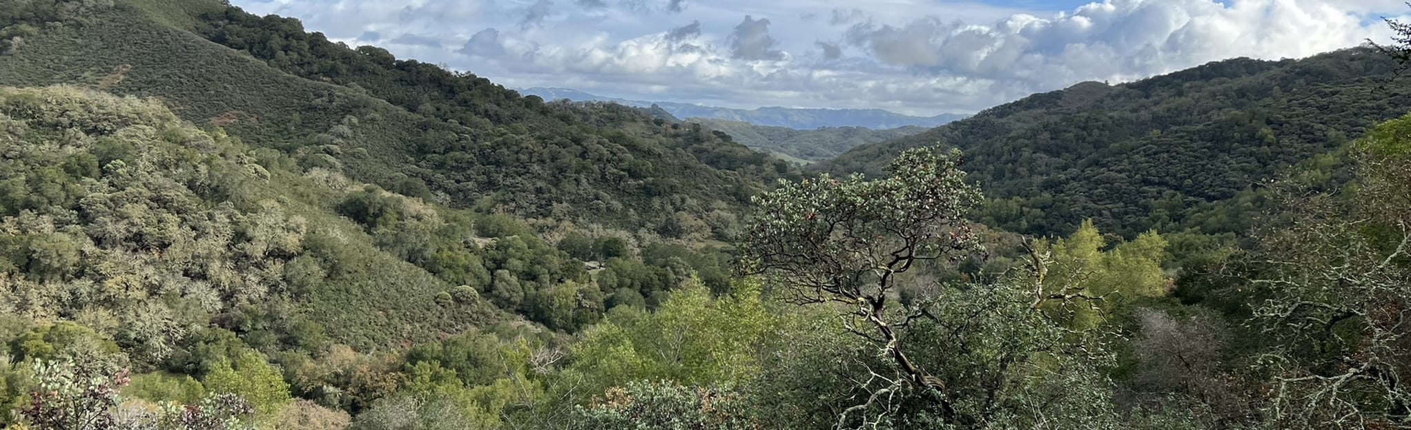 Mayfair Ranch and Longwall Canyon Loop: 1.813 foto - California | AllTrails