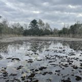 Sheldon Lake State Park Nature Loop, Texas - 187 Reviews, Map | AllTrails