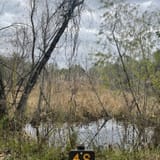 Sheldon Lake State Park Nature Loop, Texas - 187 Reviews, Map | AllTrails