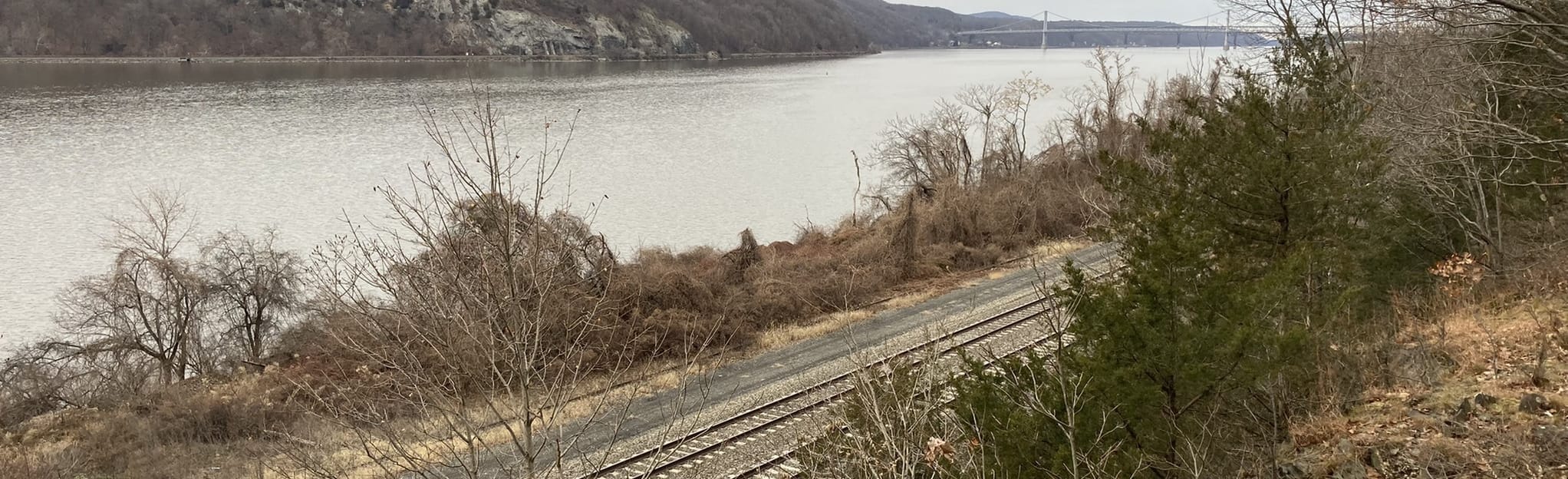 The South Loop, The Ravine, The Saw Mill, and The Lane Loop Trail: 64 ...